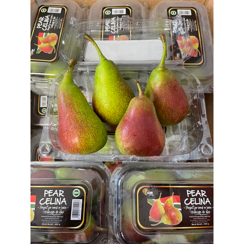 Jual Pir Pear Celina Pear Forella Afrika Per Pack | Shopee Indonesia