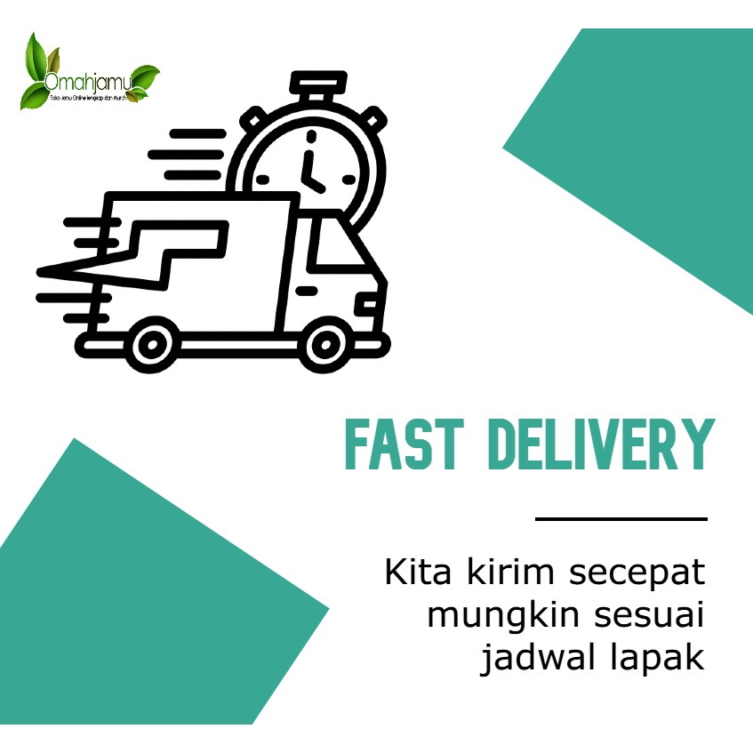 Jual Burung Kakak Tua Murah Terlengkap & Harga Terbaru Juni 2026 ...