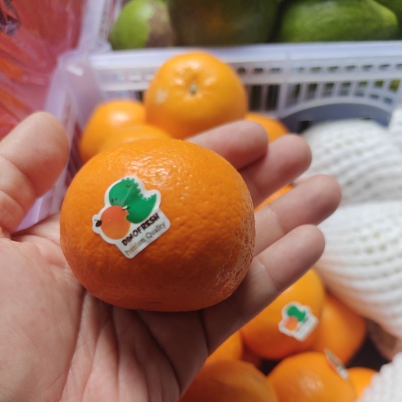 Jual Jeruk Wogan Mandarin Dino | Shopee Indonesia