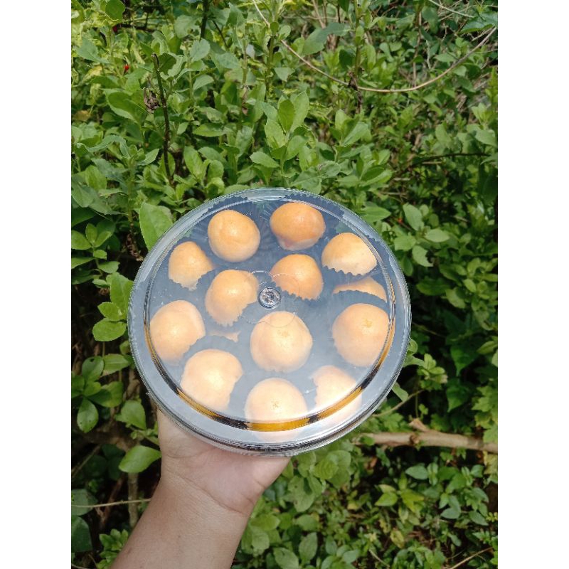 Jual Nastar Klasik Toples 500gr | Shopee Indonesia