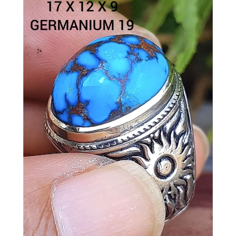 Jual pirus Mesir lawasan biru panci gradasi daging solid | Shopee Indonesia