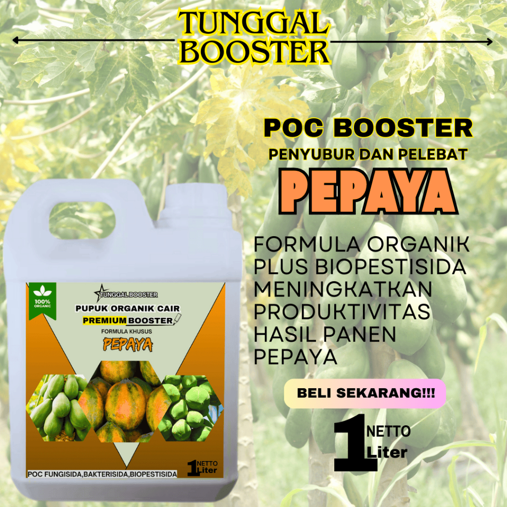 Jual Pupuk Organik Cair Tanaman Pepaya Booster pelebat dan Perangsang Buah Pepaya Premium 1Liter ...