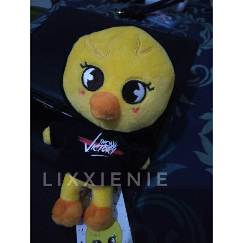 Jual [BACA DESKRIPSI] BOOKED SKZOO 15cm Bbokari Official The Victory ...