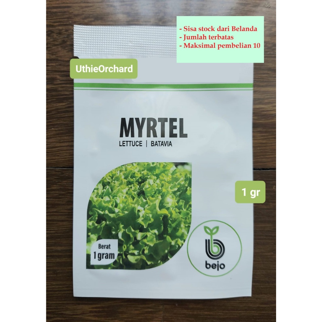 Jual Benih Bejo Seed - Selada Batavia Myrtel Kemasan asli 1 gr | Shopee ...