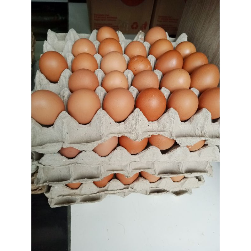 Jual Telur ayam negeri 1kg | Shopee Indonesia