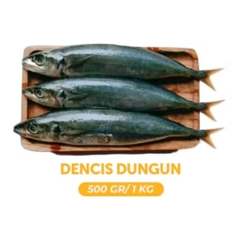 Jual ikan dencis dungun | Shopee Indonesia