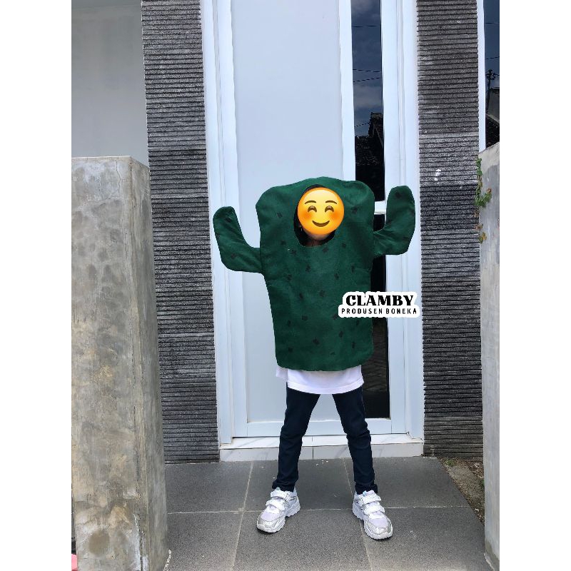 Jual Kostum Karnaval Kaktus Tangan Bisa Masuk Paud TK SD Cosplay ...