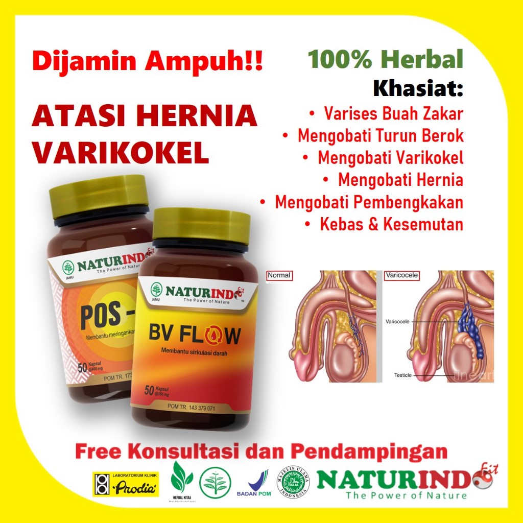 Jual Obat Turun Berok Hernia Varikokel Herbal Ampuh Tanpa Efek Samping ...