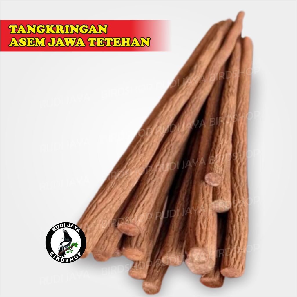 Jual TANGKRINGAN ASEM JAWA TETEHAN SUPER LOMBA BURUNG MURAI KACER ...