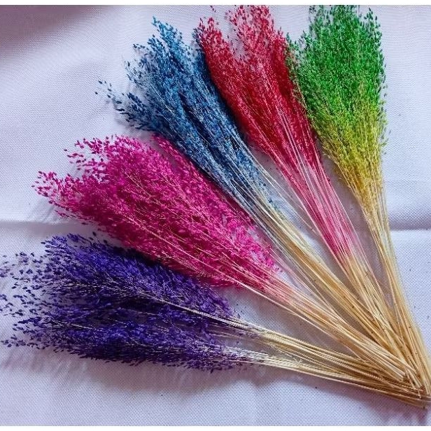 Jual Bunga Sprinkle Kering (2 tangkai) | Shopee Indonesia