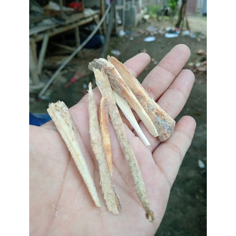 Jual belahan moncong marlin | Shopee Indonesia