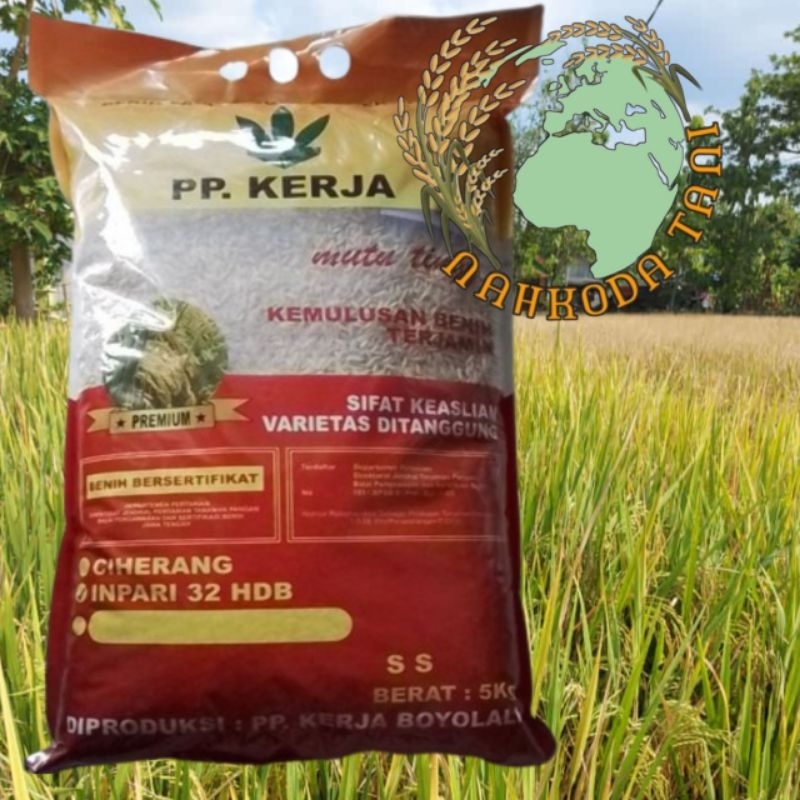 Jual Benih padi inpari 32 Hbd PP. KERJA 5kg | Shopee Indonesia