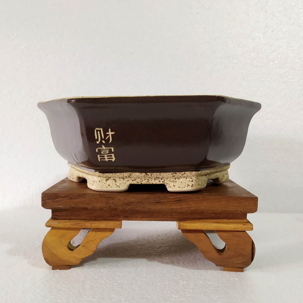 Jual POT KERAMIK BONSAI SEGI ENAM ( KODE C 134 ) | Shopee Indonesia