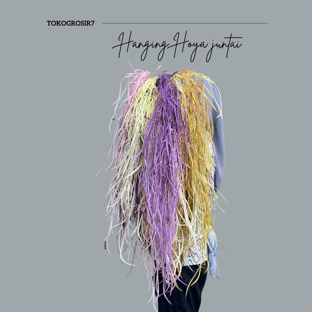 Jual Hanging Hoya Linearis Daun Rambat Juntai Plastik Artifisial Daun ...