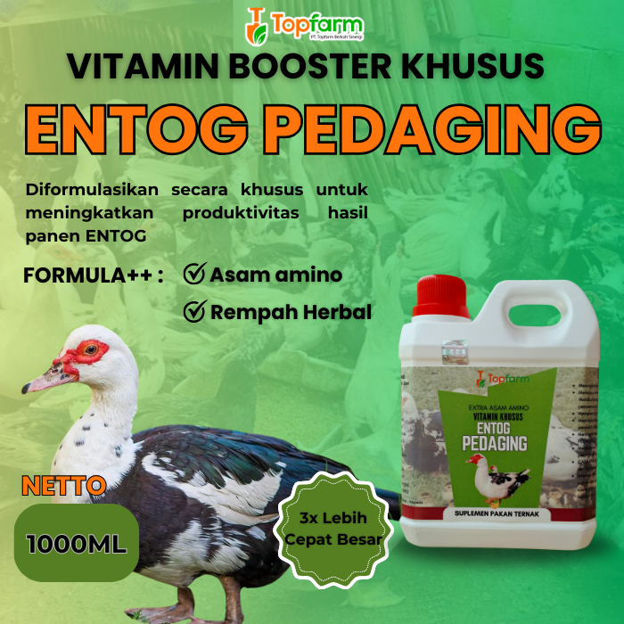 Jual Vitamin Booster Penggemuk Entog Pedaging 1LITER/ Vitamin Penggemuk ...