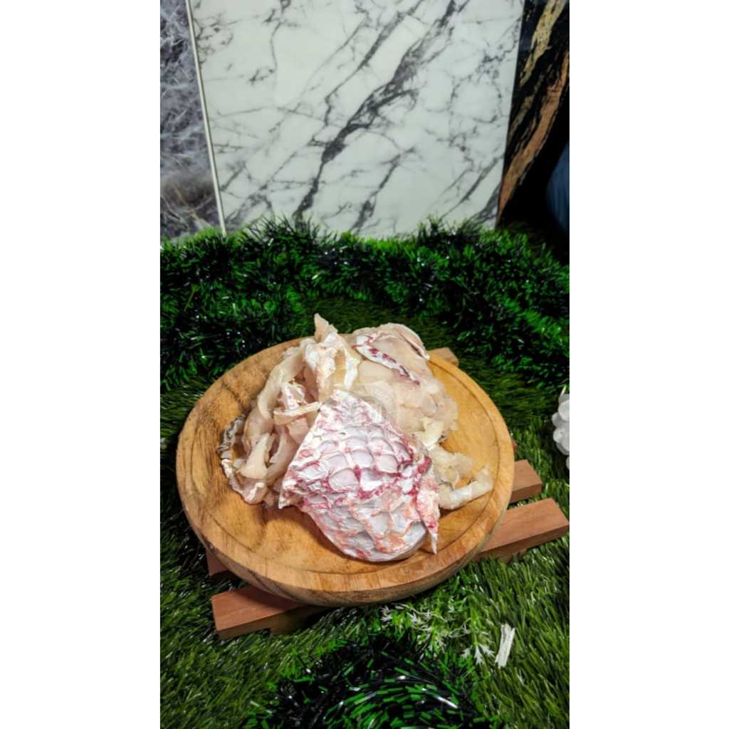 Jual Tetelan Ikan Kakap Merah Tanpa Duri/Tulang 500Gr | Shopee Indonesia