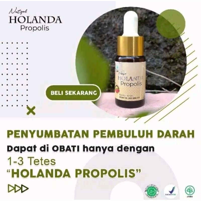 Jual Holanda propolis 100% Asli 10ml Kencing Manis Asam Urat Jantung ...