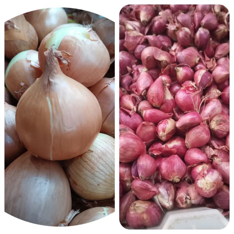 Jual paket bawang merah bawang Bombay 1 kg | Shopee Indonesia