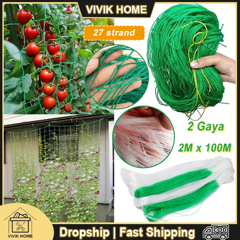 Jual Jaring Rambatan Tanaman Buah 2M X 100M Jaring Net Rambatan Tanaman Untuk Bertani Plant ...