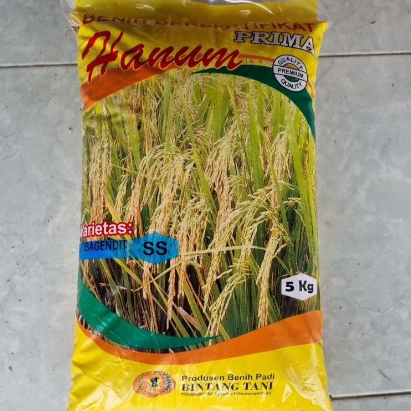 Jual Benih Padi SITUBAGENDIT Hanum SS 5kg | Shopee Indonesia