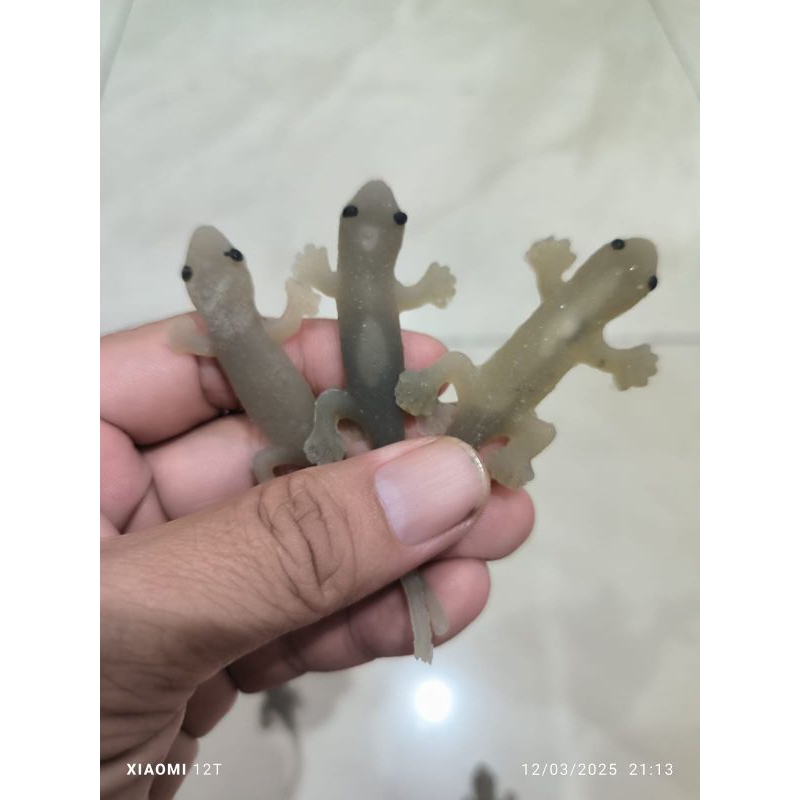 Jual mainan cicak karet reject eceran | Shopee Indonesia