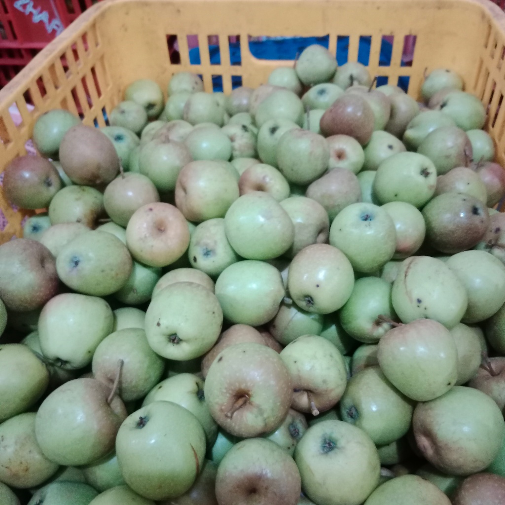 Jual apel manalagi cerry 1kg (isi 25-30) /apel malang | Shopee Indonesia