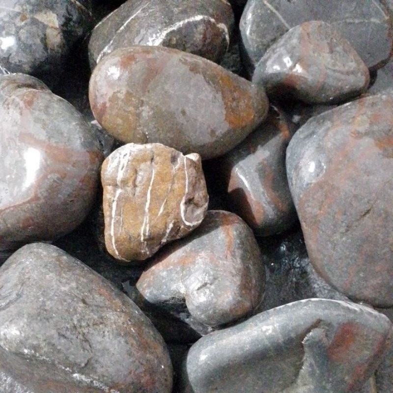 Jual batu badar besi koral /1 kg 50k | Shopee Indonesia