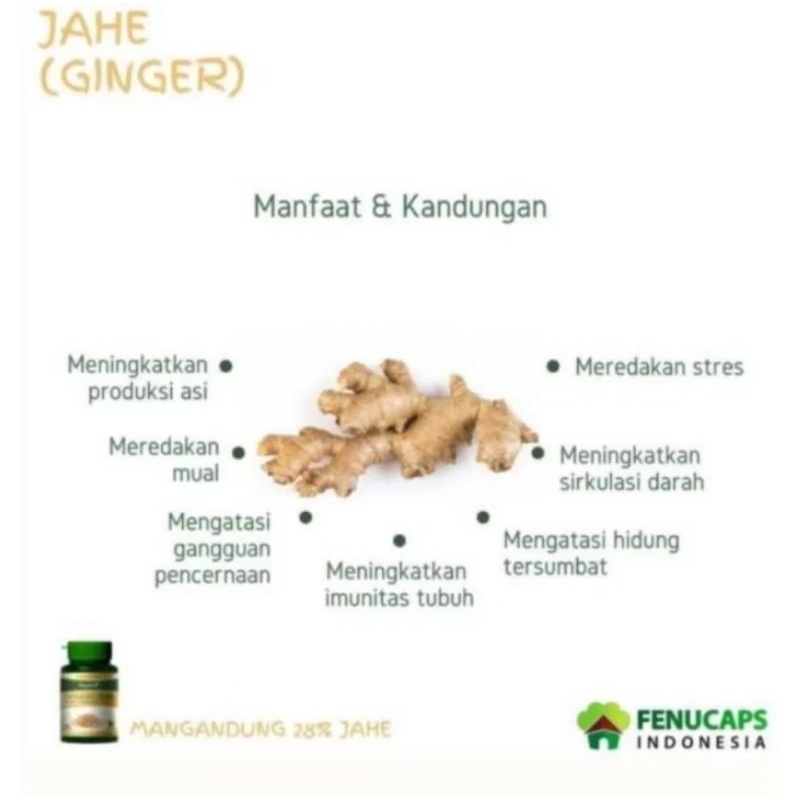 Jual ISI 100 BOOSTER ASI FENUCAPS (READY STOK) busui / ibu menyusui ...