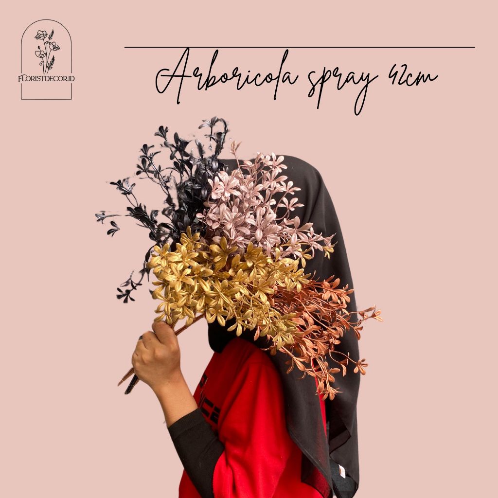 Jual (TTT ERMURAH 42CM ARBORICOLA DAUN MILAN EUCALYPTUS EMAS RUSCUS ...