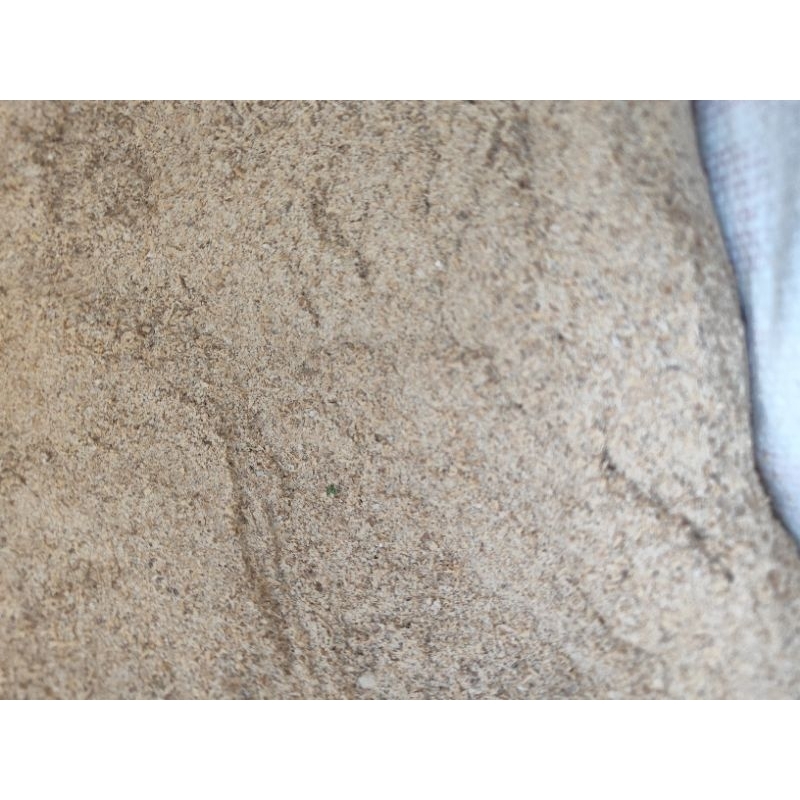 Jual Dedak Grade A Katul Pakan Ayam Katul Comboran Sapi Grade A Katul ...