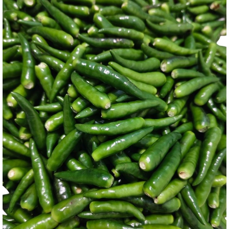 Jual cabe /cabai rawit ijo 500gram | Shopee Indonesia