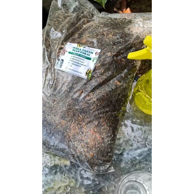 Jual Media tanam siap pakai (5L) | Shopee Indonesia