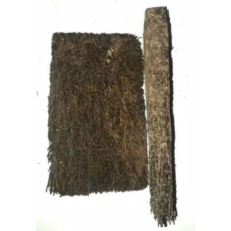 Jual media pakis lempeng // media pakis papan // media untuk tanaman ...