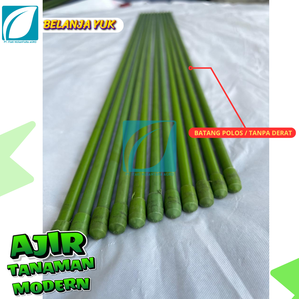 Jual Ajir Tanaman Modern Takiron 8x900 mm (Batang Polos Tanpa Derat ...