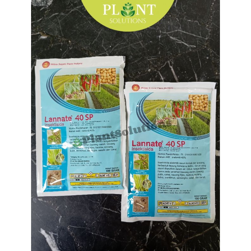 Jual Insektisida Lannate 40sp 100GR Mengendalikan Hama Serangga ...