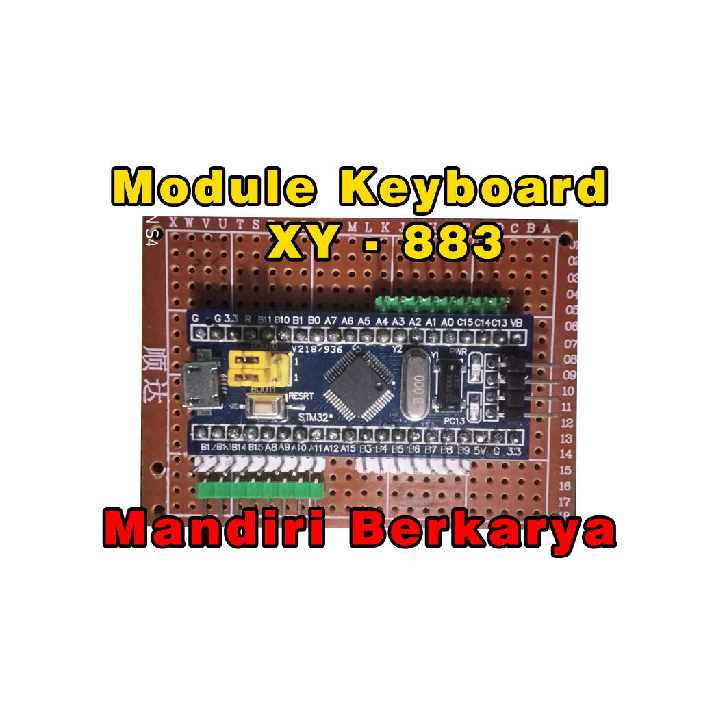 Jual Modul Keyboard XY 883 piano keybords ORG STM32 | Shopee Indonesia