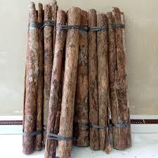 Jual Kulit Kayu Raru Kering Raru Asli Medan 1 kg | Shopee Indonesia