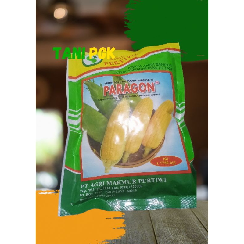 Jual BENIH JAGUNG MANIS HIBRIDA F1 FARAGON | Shopee Indonesia