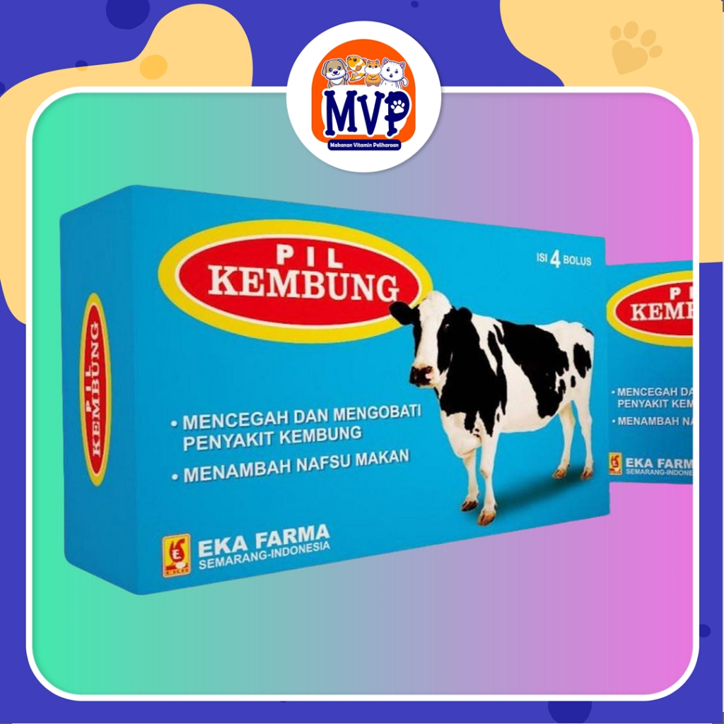 Jual Pil Kembung Sapi 4Bolus - Mengobati Kembung Pada Sapi, Kambing ...