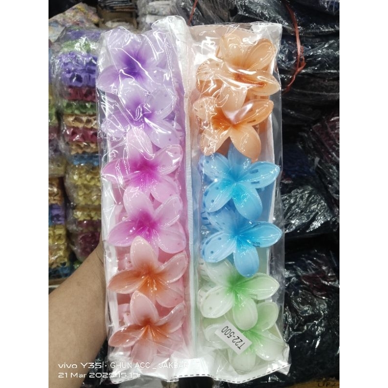 Jual jepit rambut kamboja bening/jepit bunga bali | Shopee Indonesia