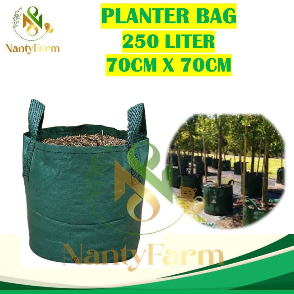 Jual Planter Bag 250 Liter 70x70 Wadah Pot Tanaman Tabulampot Jumbo ...