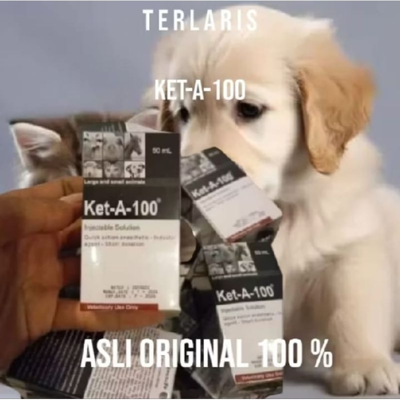Jual KET-A 100 KETA A COCOK UNTUK HEWAN TERNAK | Shopee Indonesia