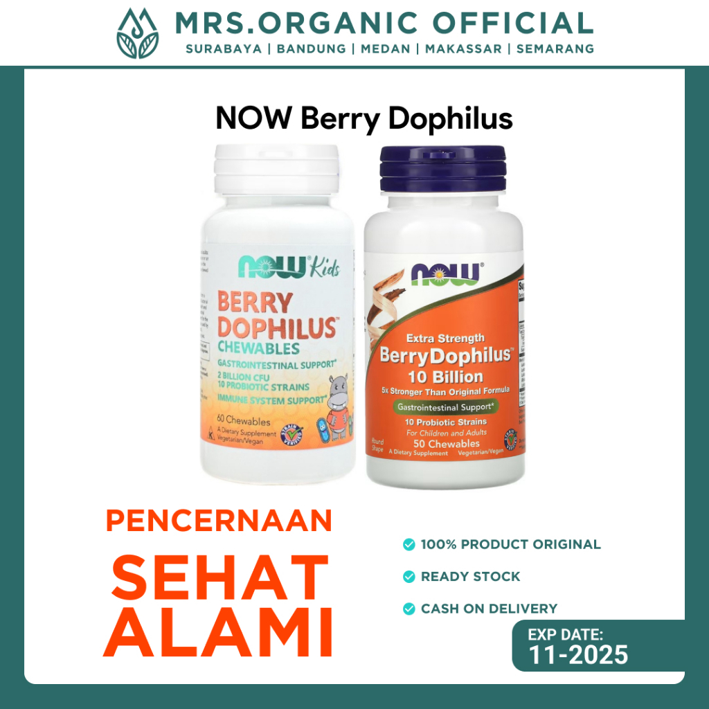 Jual NOW Berry Dophilus – Probiotik untuk Pencernaan Sehat & Imunitas ...