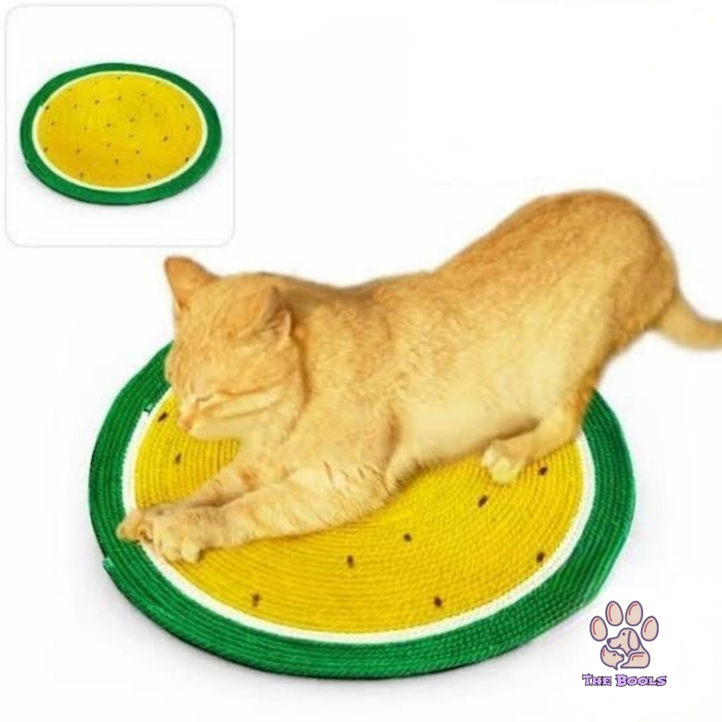 Jual (The Bool's) Papan Cakaran Garukan Kucing Kitten Anabul Bentuk ...