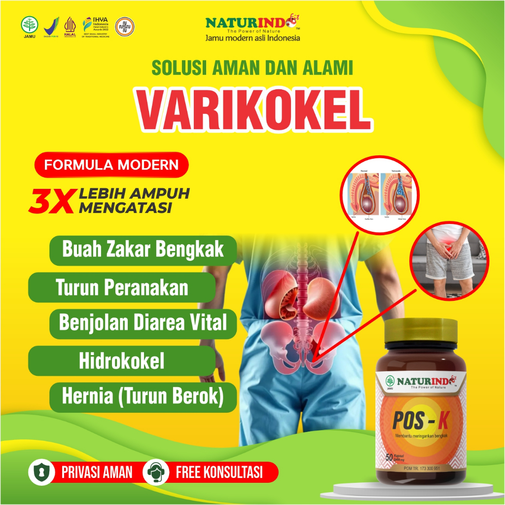 Jual Obat Varikokel Herbal Buah Zakar Bengkak Mandul Nyeri Testis Turun ...
