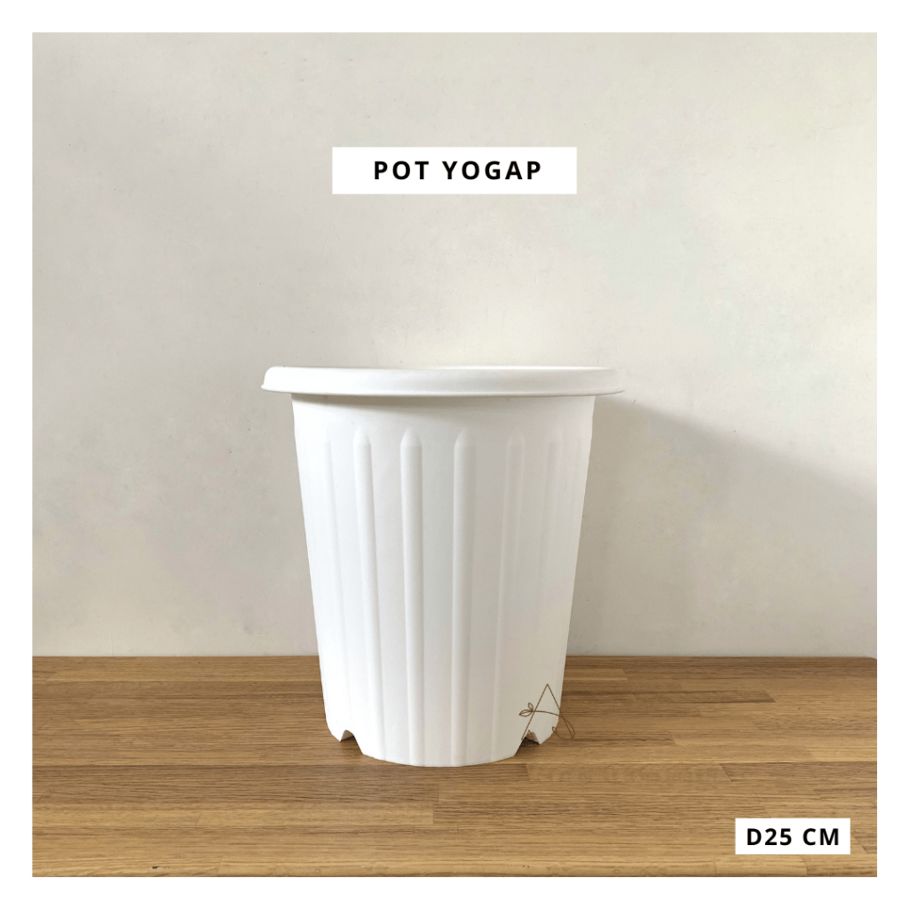 Jual Pot Yogap Putih D25 cm | Pot Plastik | Pot Tanaman Hias | Pot ...