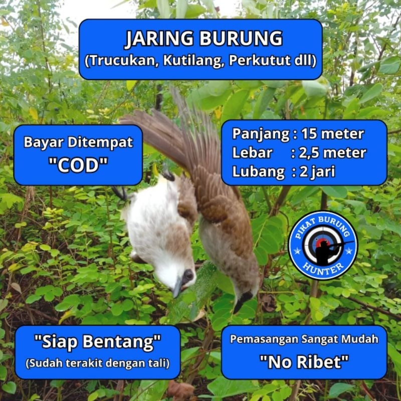 Jual JARING JERAT BURUNG TRUCUKAN JARINGAN BURUNG SIAP PAKE JARING ...