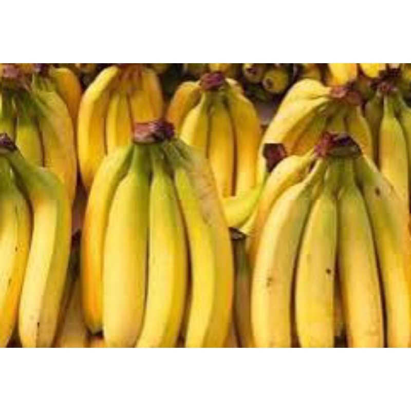 Jual BUAH PISANG AMBON KUALITAS SUPER, BERAT 1KG | Shopee Indonesia