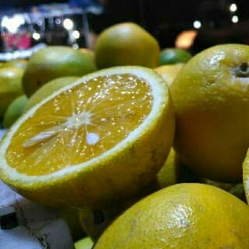 Jual jeruk baby java 5kg | Shopee Indonesia