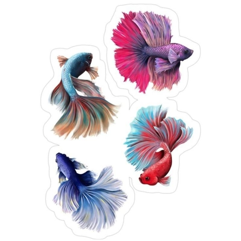 Jual stiker cupang khusus live | Shopee Indonesia